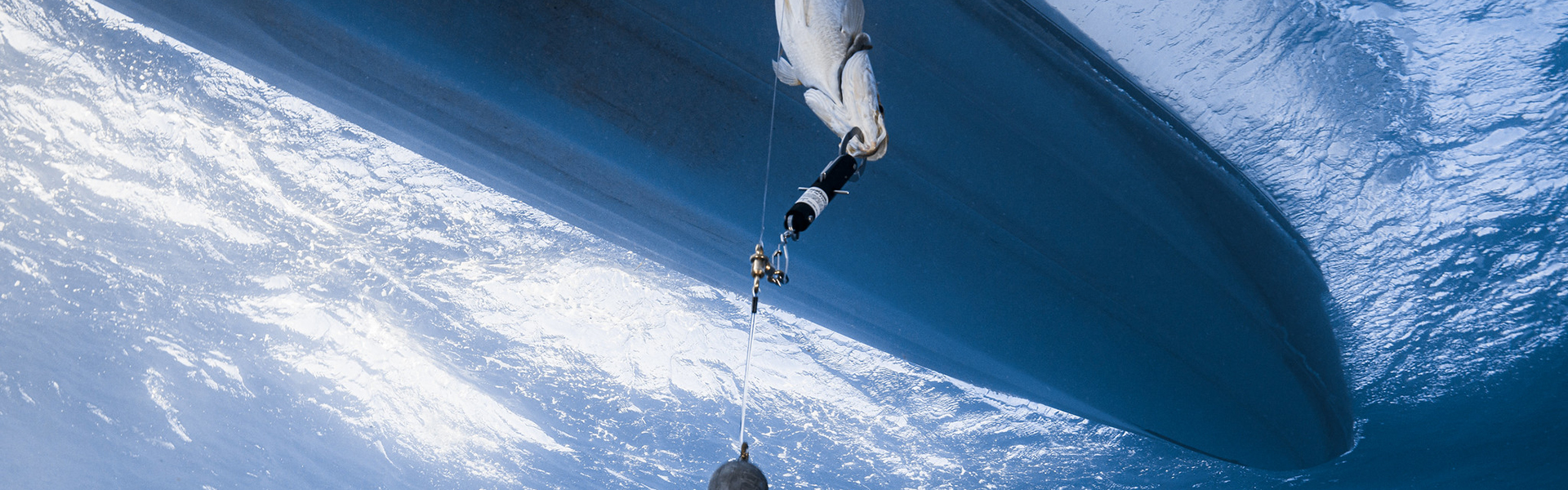 Gulf Reef Fish Anglers: Help Reef Fish Survive With Free Release Tools ...