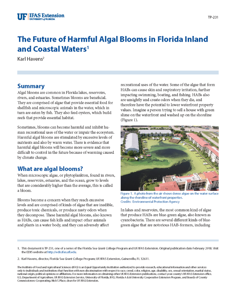Harmful Algal Blooms – Florida Sea Grant