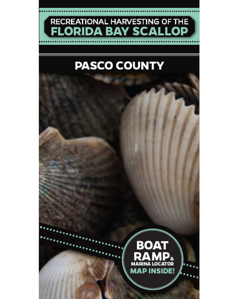 Scalloping - Florida Sea Grant