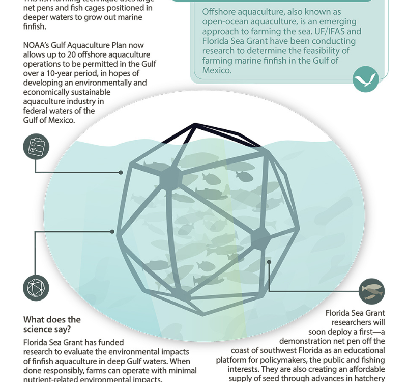 Aquaculture Infographics Series: Offshore Aquaculture - Florida Sea Grant
