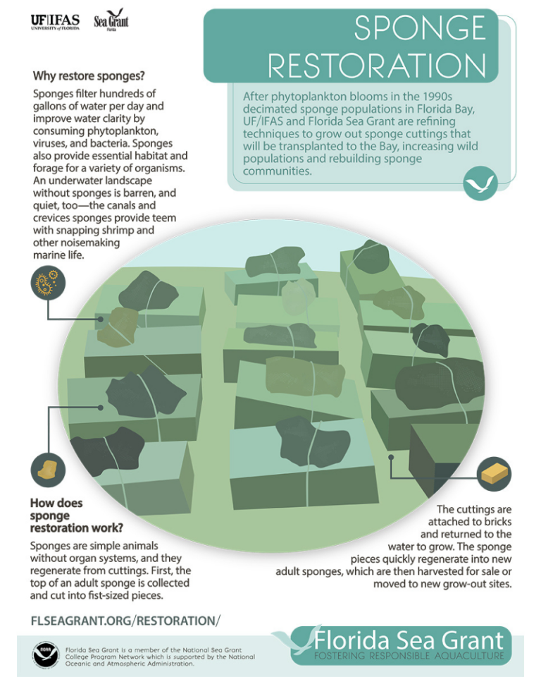 Aquaculture - Florida Sea Grant