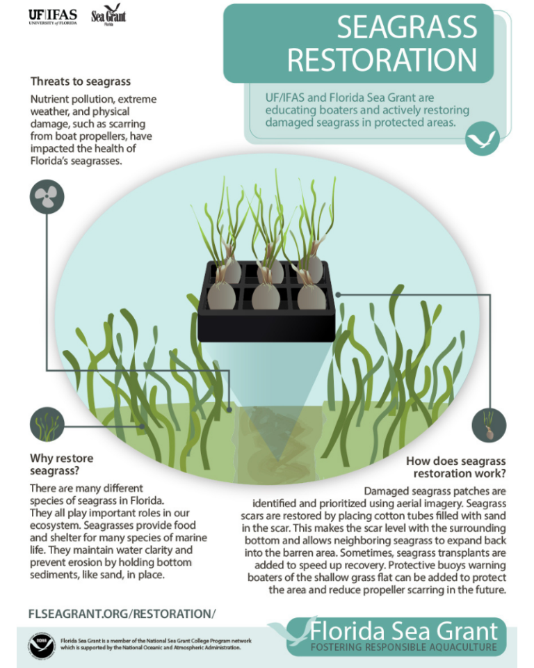 Aquaculture - Florida Sea Grant