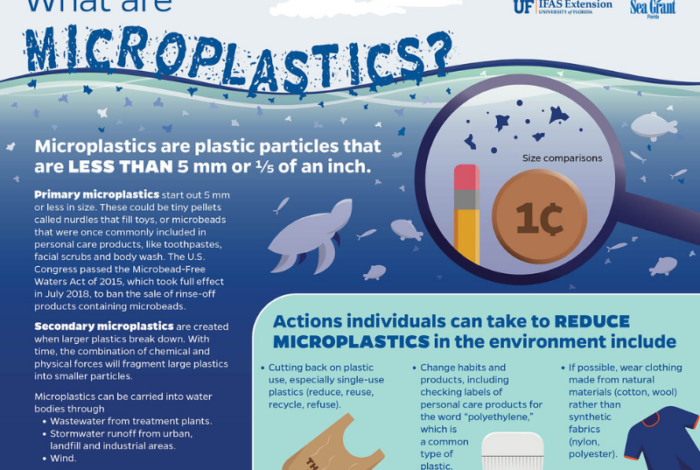 Microplastics Archives - Florida Sea Grant