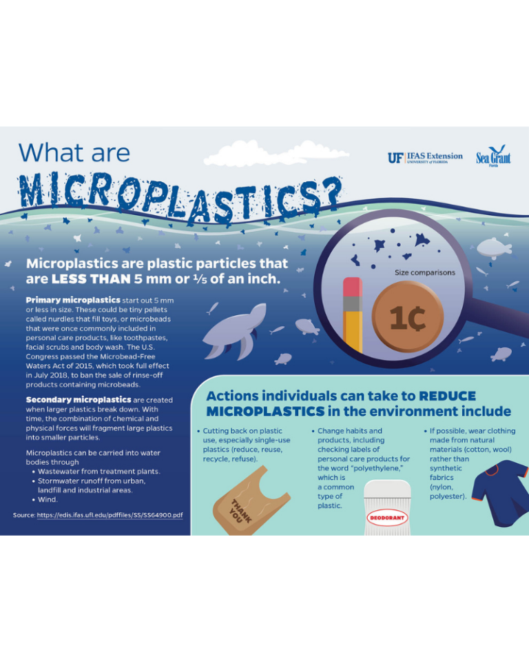 What Are Microplastics? Infographic - Florida Sea Grant