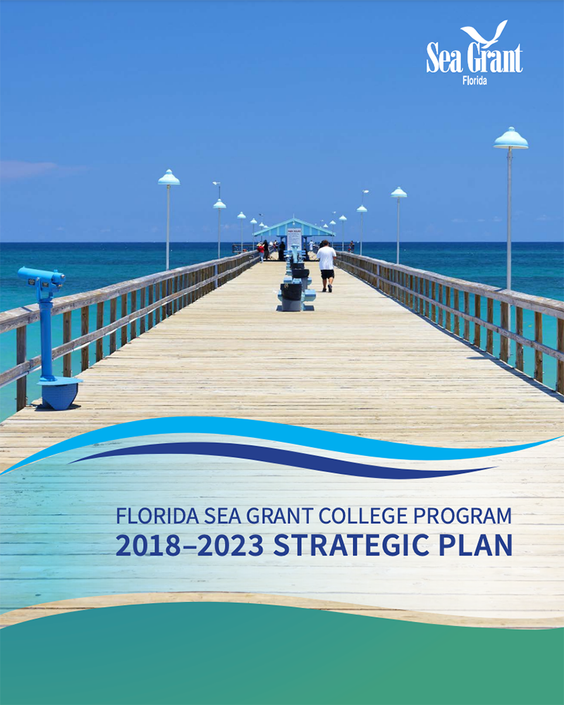 2018-2023 Strategic Plan - Florida Sea Grant