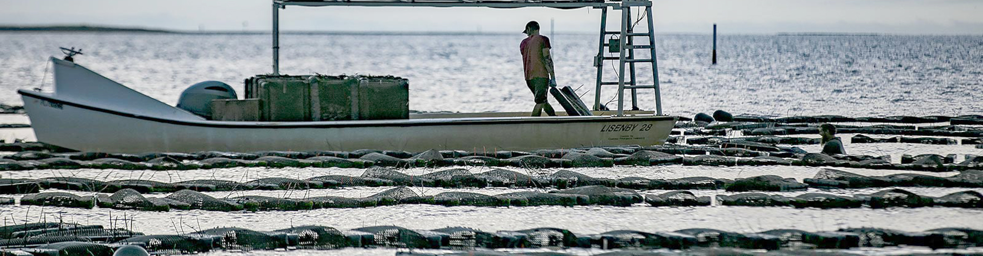 Aquaculture - Florida Sea Grant
