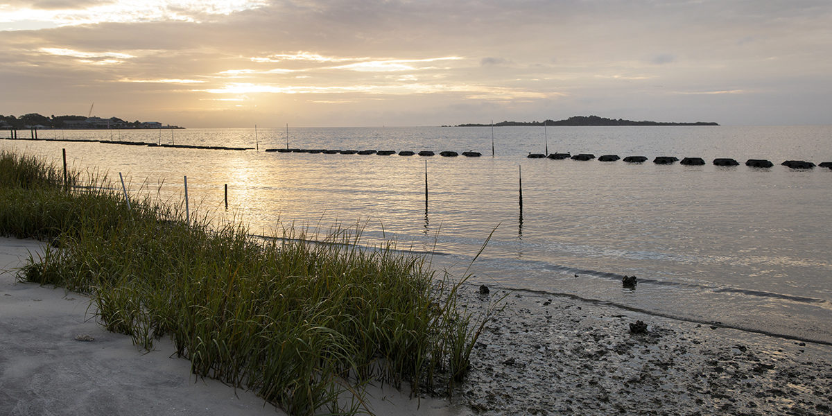 New Document Helps Measure Benefits of Living Shorelines - Florida Sea ...