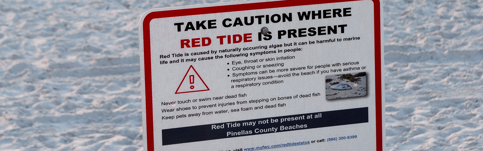 Developing A Communications Strategy For Red Tide In Florida - Florida ...