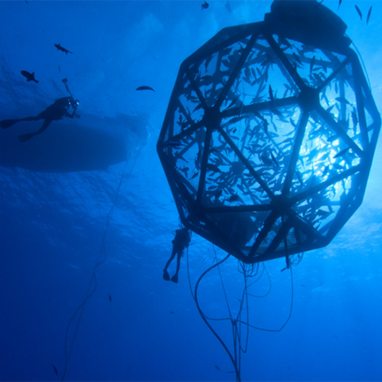 The Future of American Seafood: Will It Include Offshore Aquaculture ...