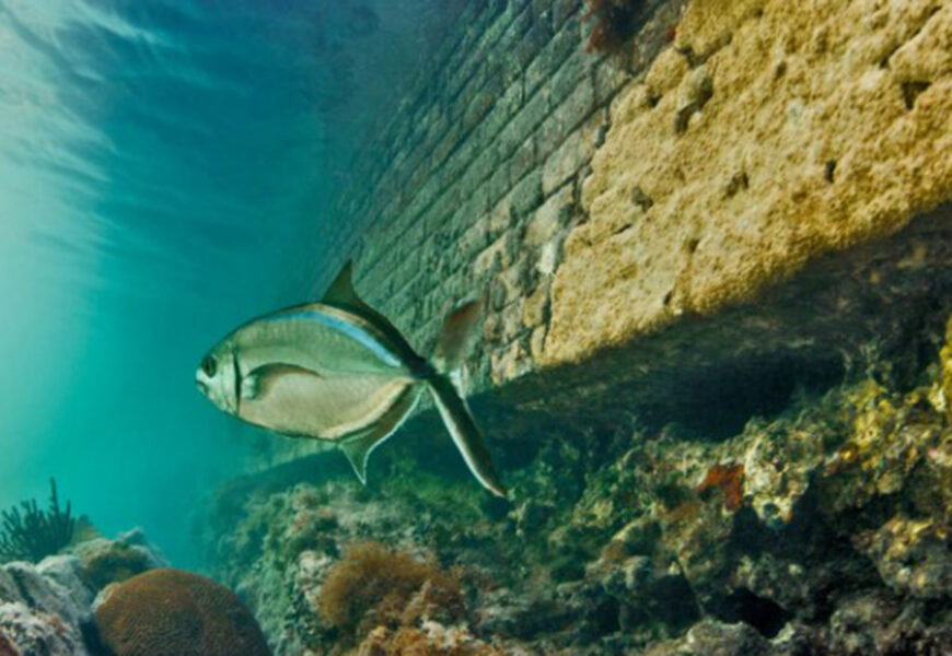 Artificial Reef Deployment and Monitoring - Florida Sea Grant