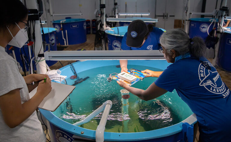 The Status of Red Tide Mitigation & Control Research - Florida Sea Grant