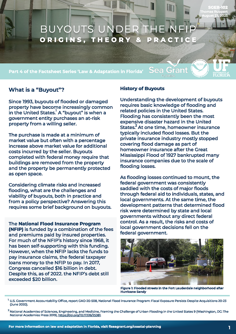 Buyouts Under The National Flood Insurance Program (NFIP): Origins ...