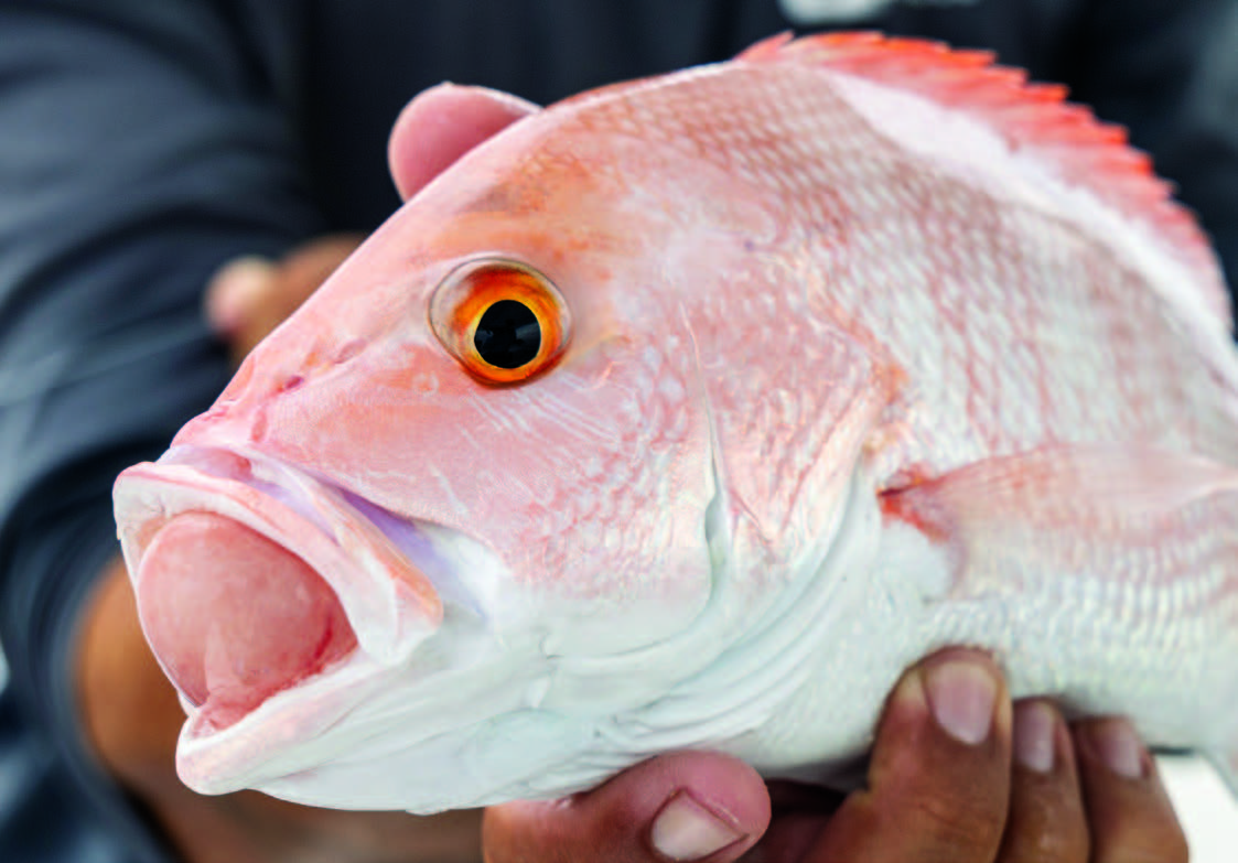 Fact or Fiction: Dispelling Myths About Barotrauma, Venting ...