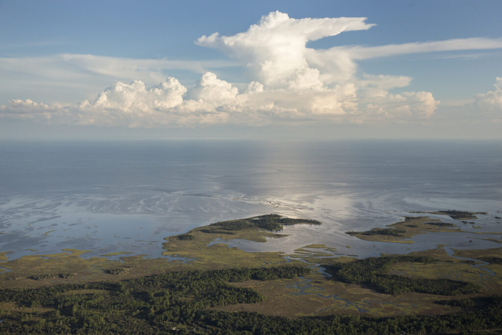 UF Awarded NOAA RESTORE Science Program Grant to Protect Natural ...