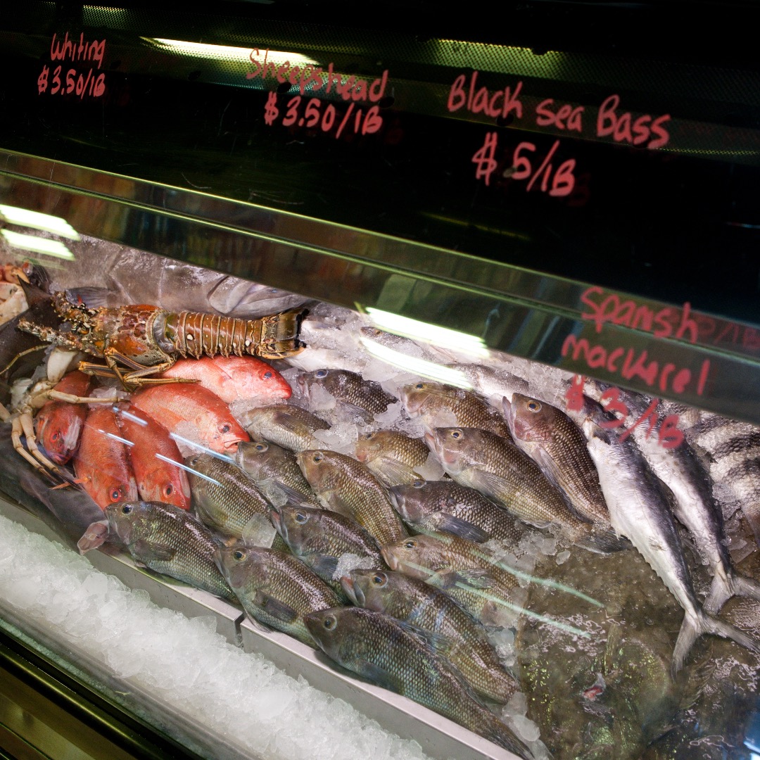 Need More Seafood in Your Diet? FSG Specialist Serves the Freshest Tips ...