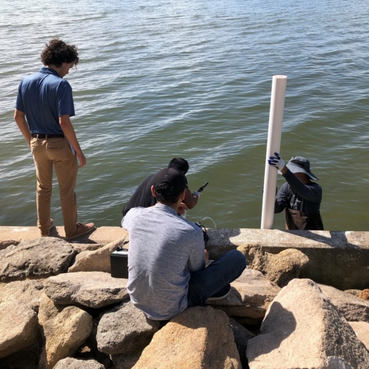 Seas the Year: Florida Sea Grant Reflects on Program Highlights from ...