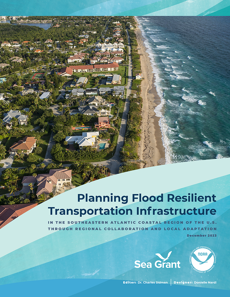 Planning Flood Resilient Transportation Infrastructure in the ...