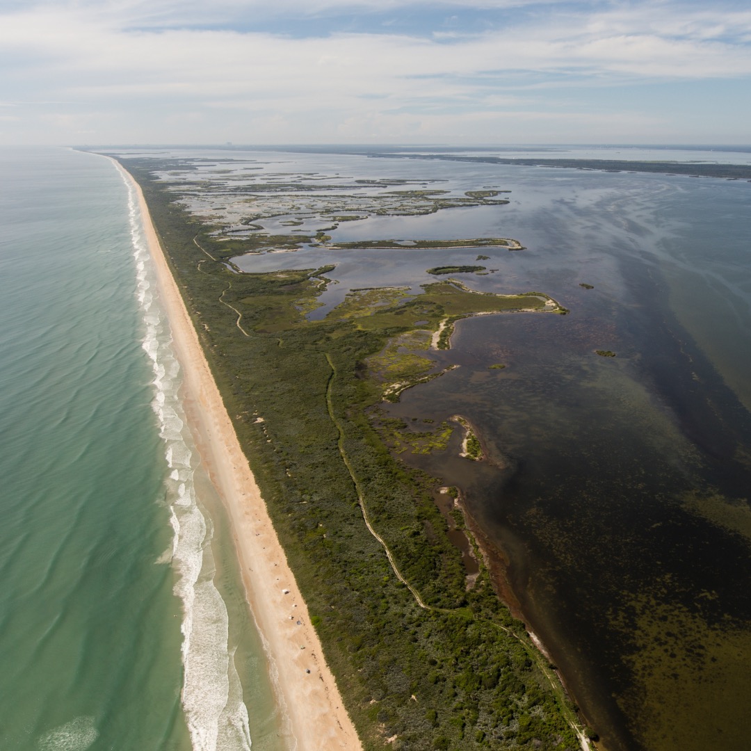 Tides of Change: How Living in a Coastal Backyard Flooded My Interest ...