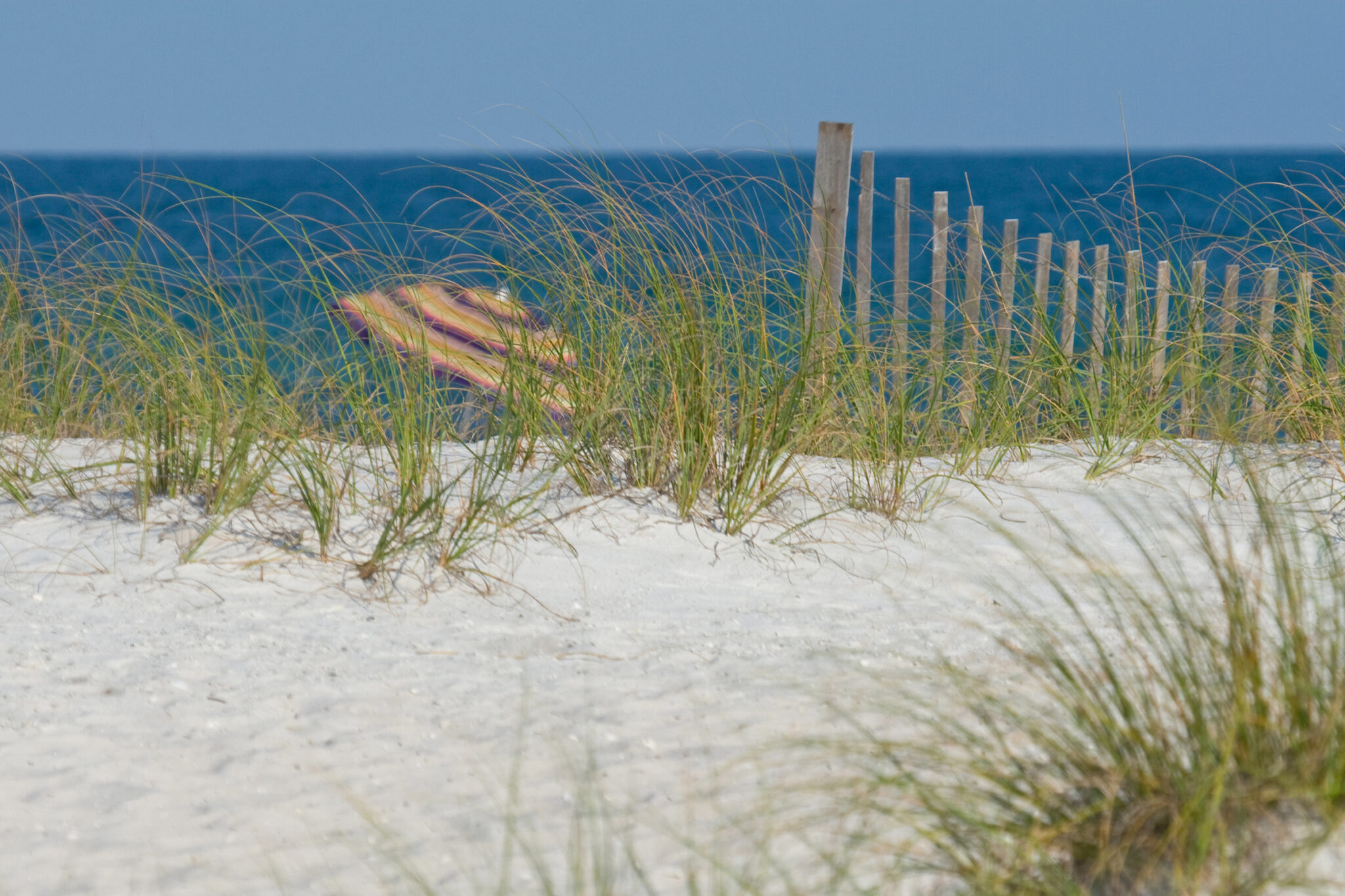 Episode 21: Sand Dunes - Florida Sea Grant