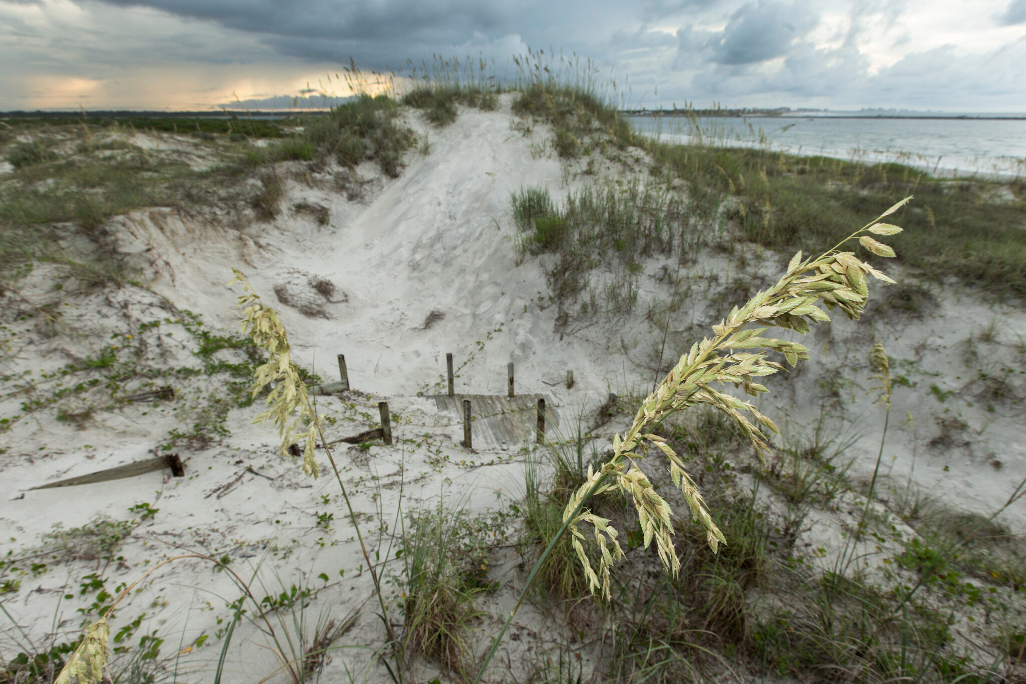 Episode 21: Sand Dunes - Florida Sea Grant