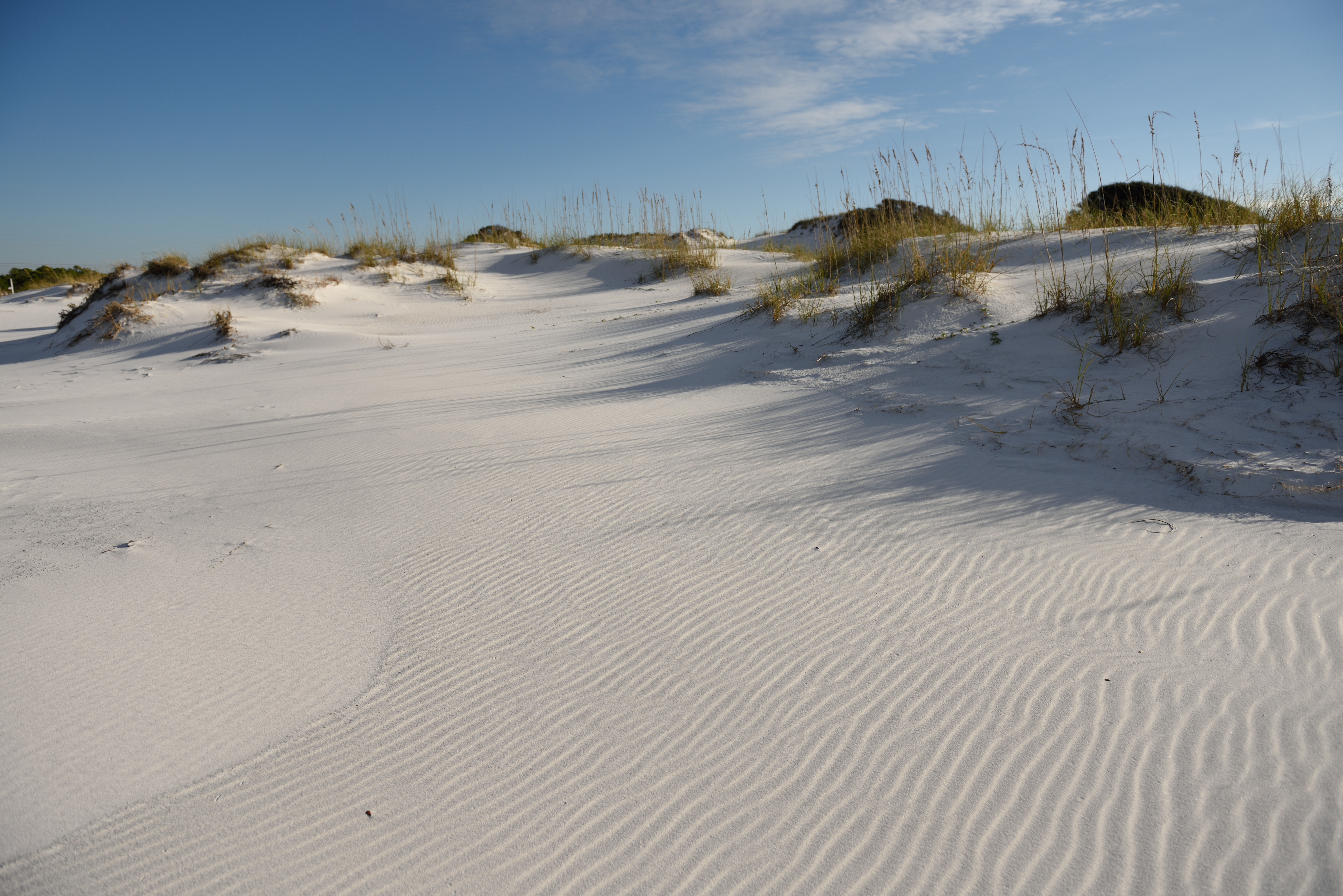 Dunes In Florida
