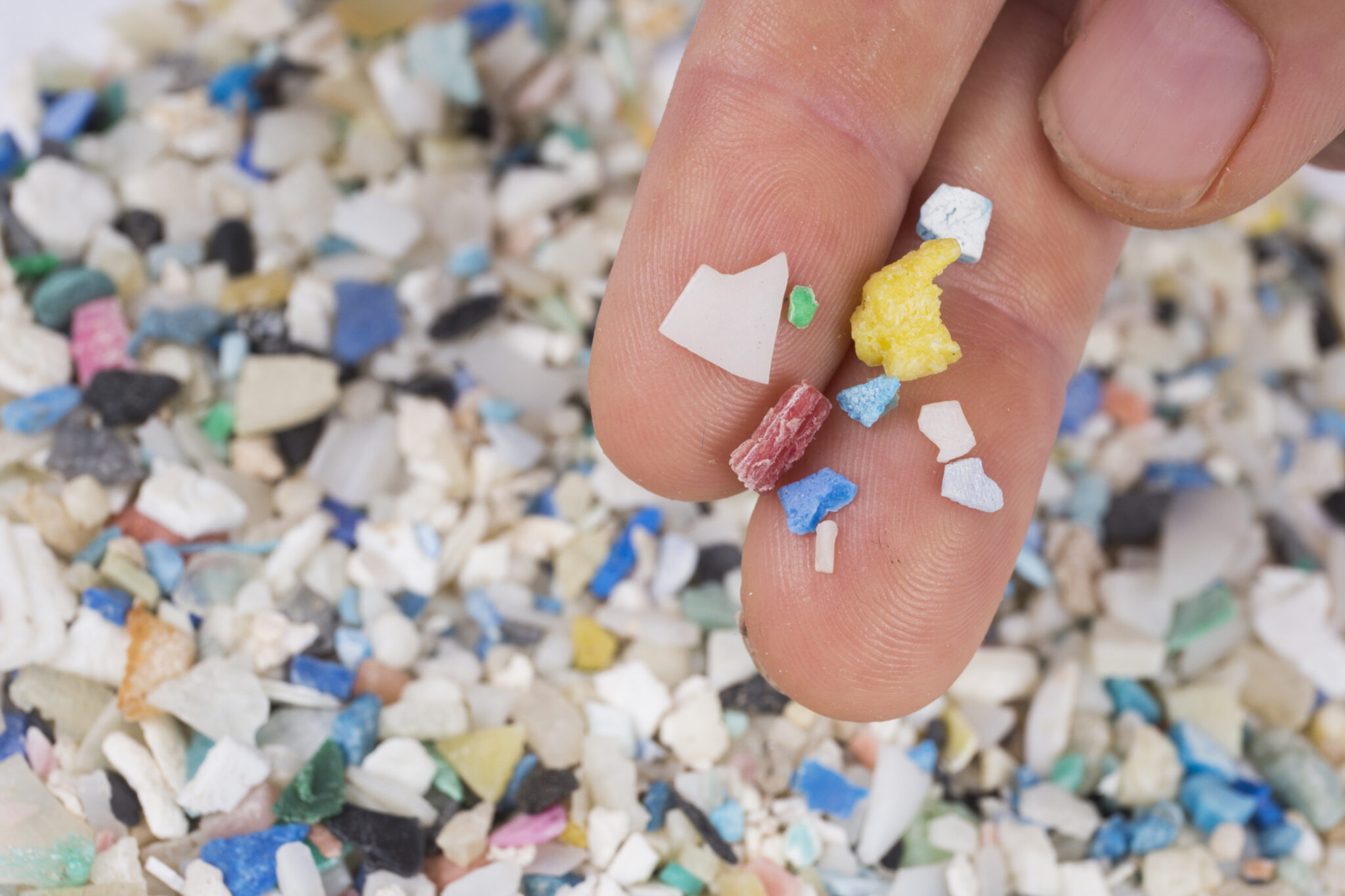 Episode 24: Microplastics - Florida Sea Grant