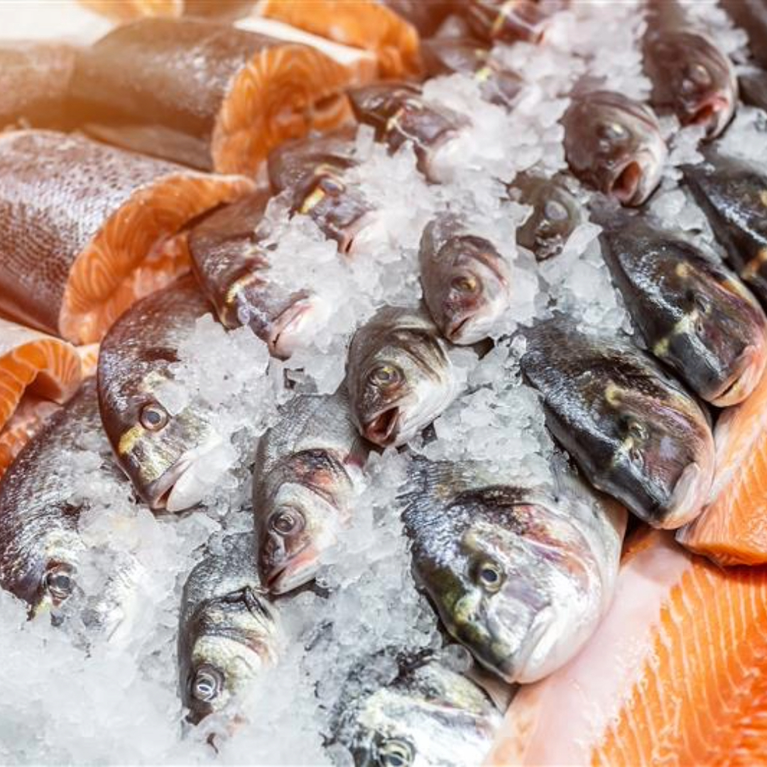 Unmasking Seafood Fraud: Researchers and Industry Develop Tools To ...