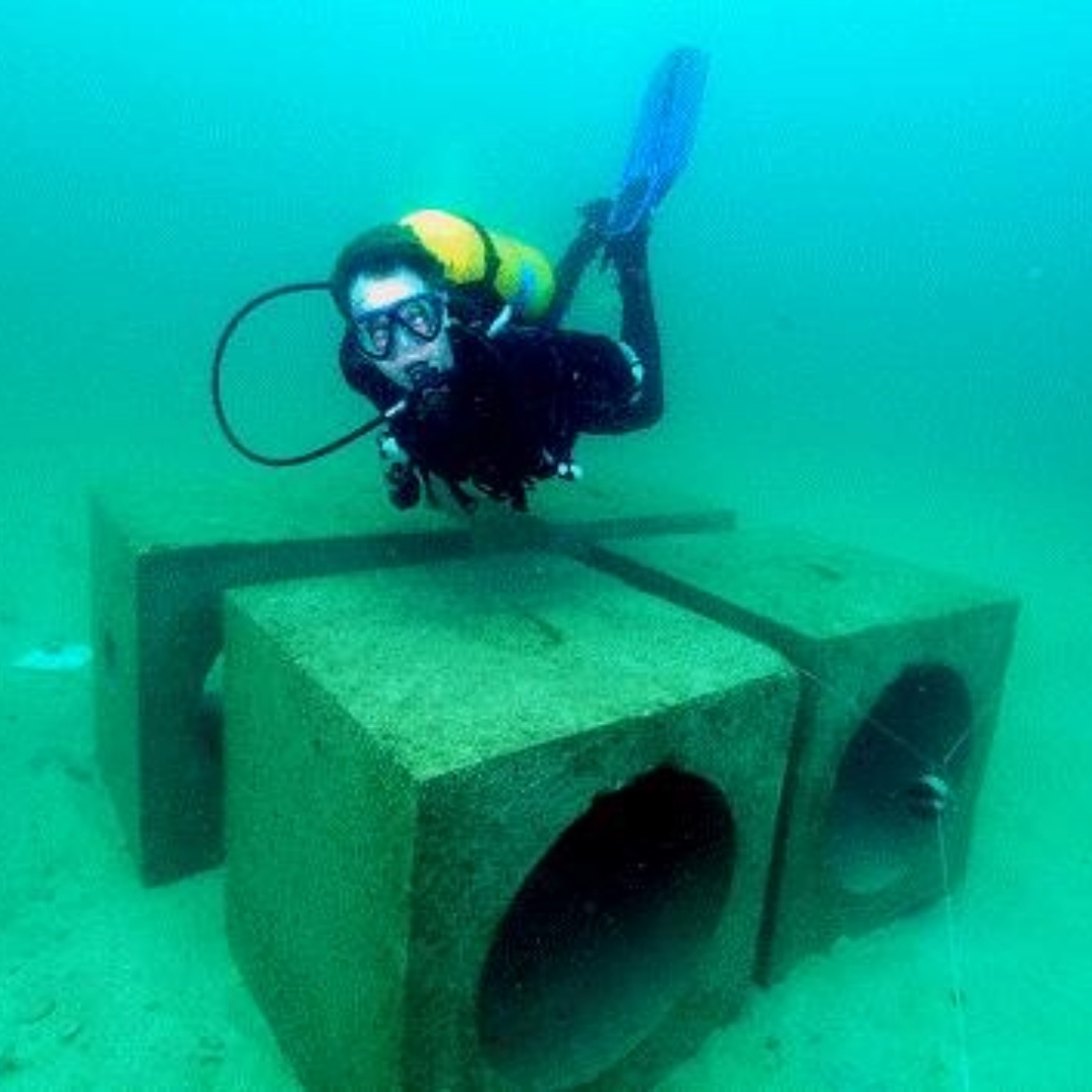 Florida Sea Grant’s Artificial Reef Legacy Part 1: Mimicking “Reef ...