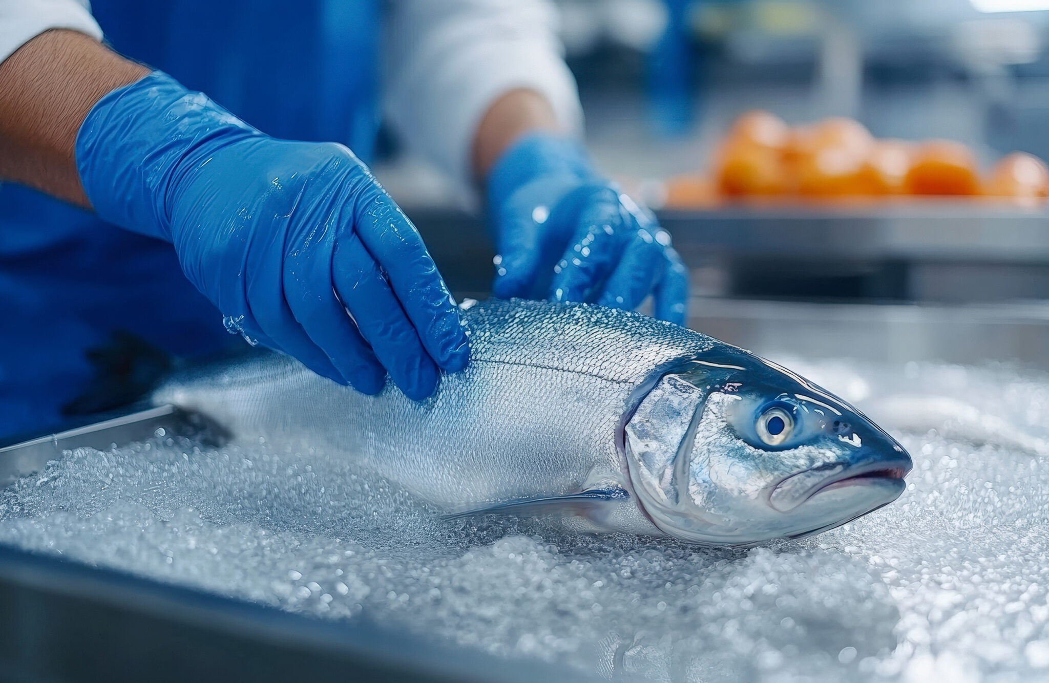 Seafood HACCP Training and Education - Florida Sea Grant