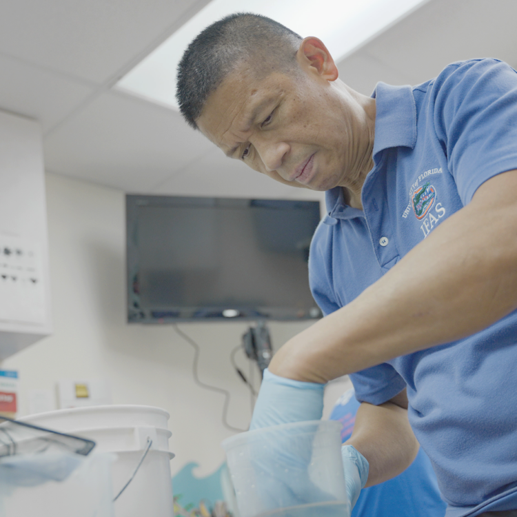 FSG 2026-2028 Biennial Competition Awards Funds to Eight Research Projects
