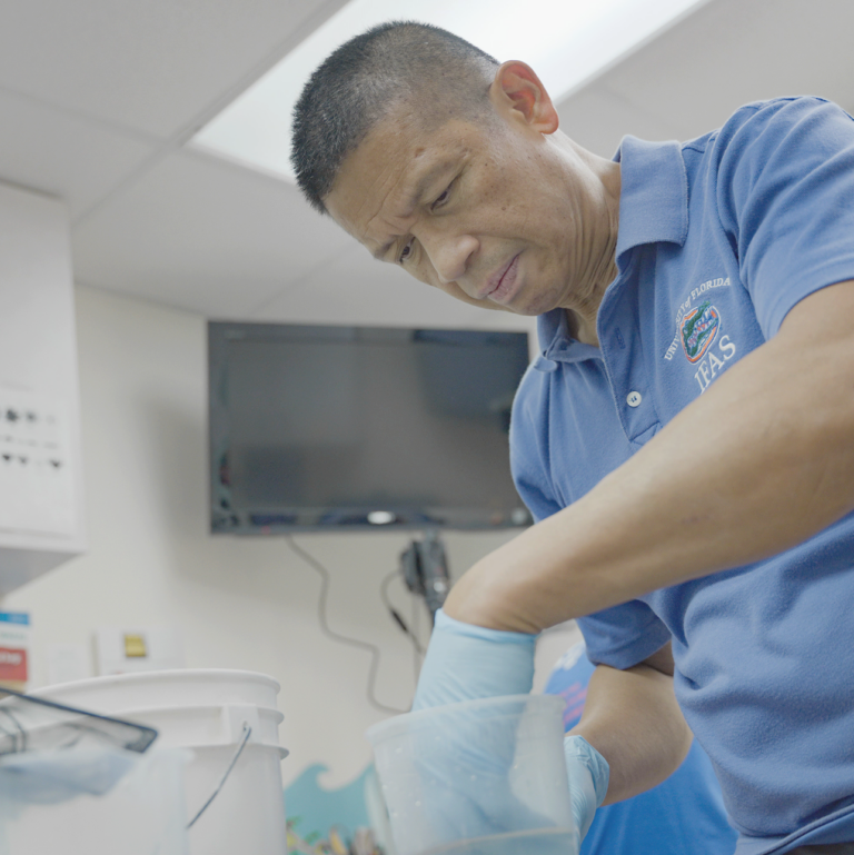 FSG 2026-2028 Biennial Competition Awards Funds to Eight Research Projects